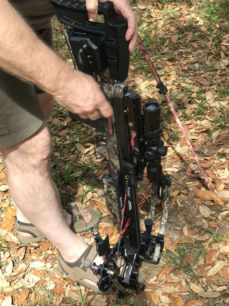 Crossbow Performance Trends | Shoot On