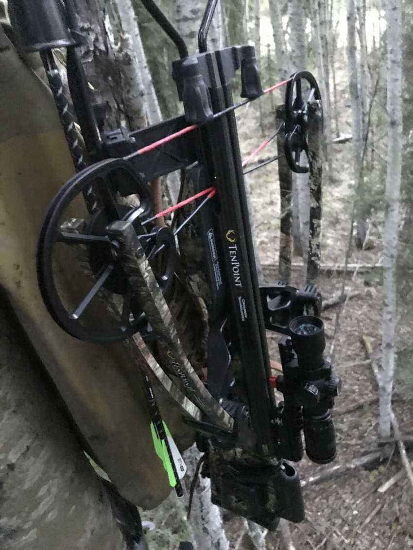 Crossbow Performance Trends | Shoot On