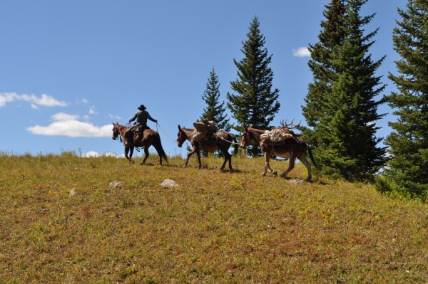 Long Range Hunting in the West | Shoot On