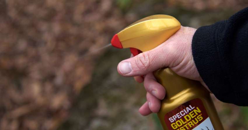 Top Tips for Late-Season Bucks | Shoot On