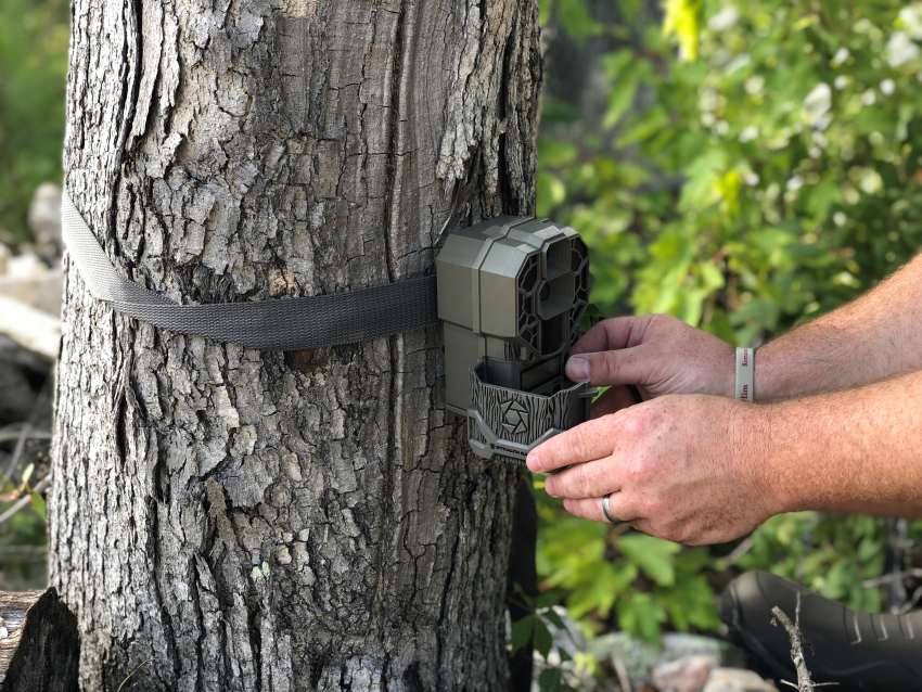 Capturing an Abundance of Deer Using Proper Game Camera Setup | Shoot On