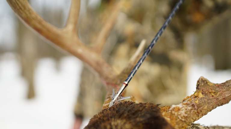 SEVR Broadheads - Devastating and Dependable | Shoot On
