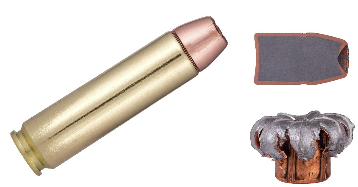 Rise of the .450 Bushmaster | Shoot On