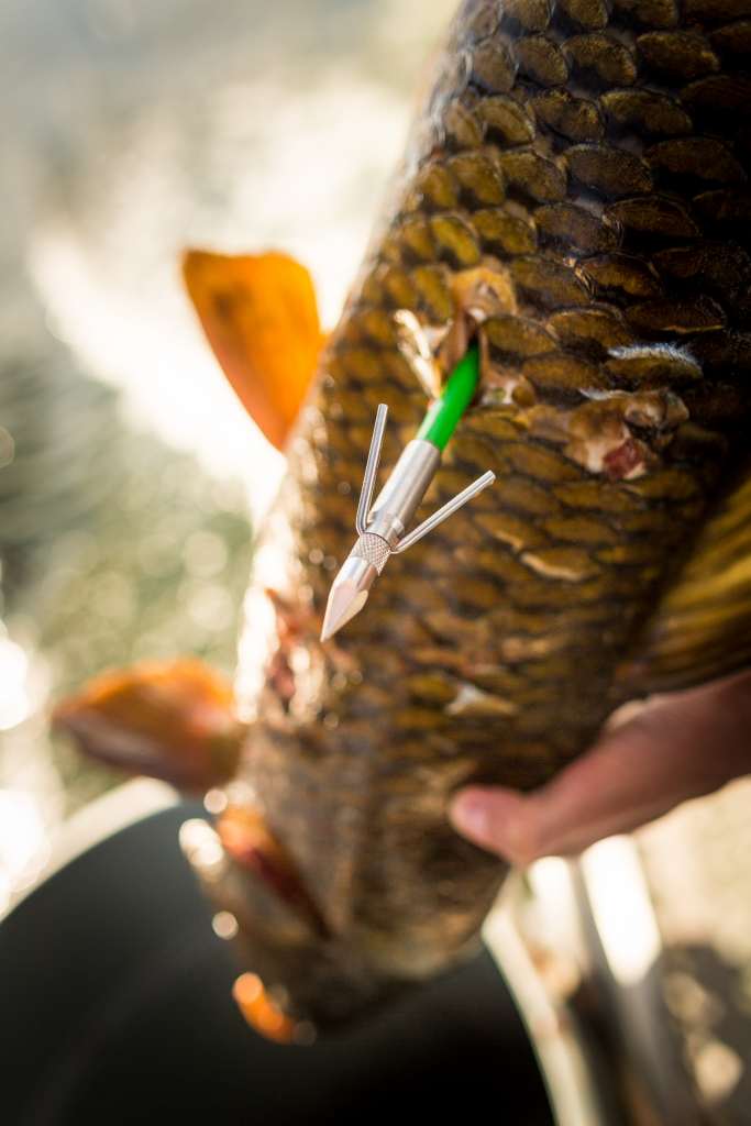 Extend Your Bowhunting Season This Summer...On The Water! | Shoot On
