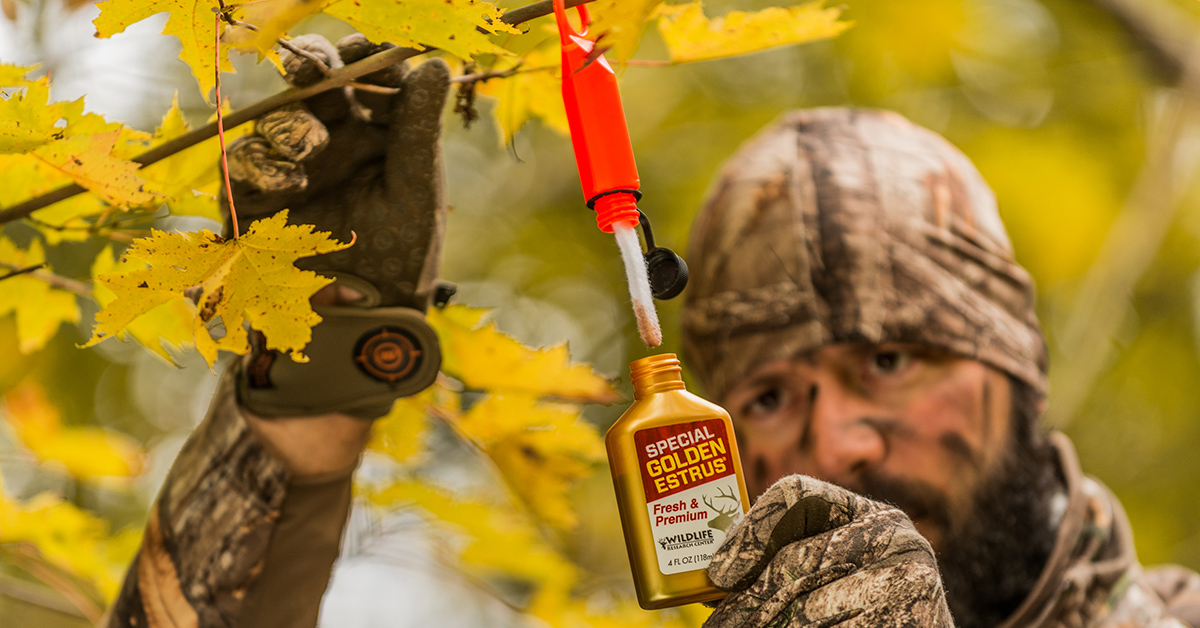 Deer Scent Deployment Basics | Shoot On