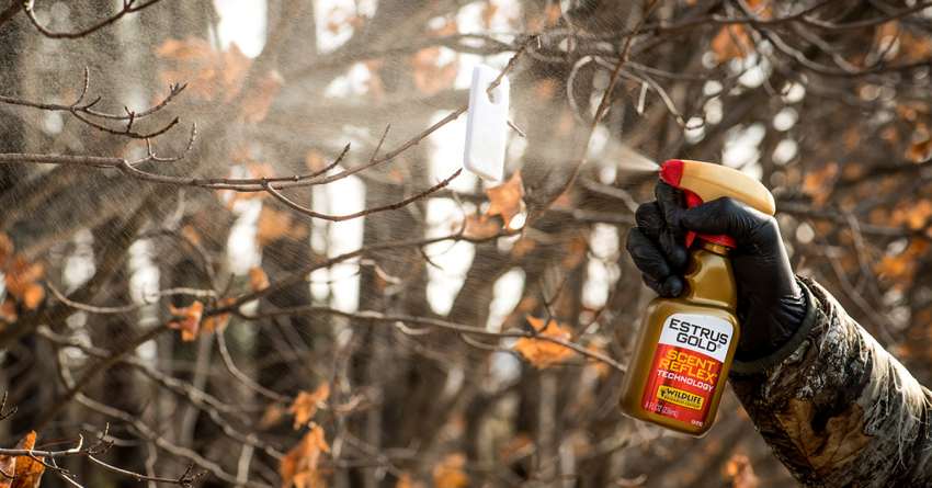 Deer Scent Deployment Basics | Shoot On