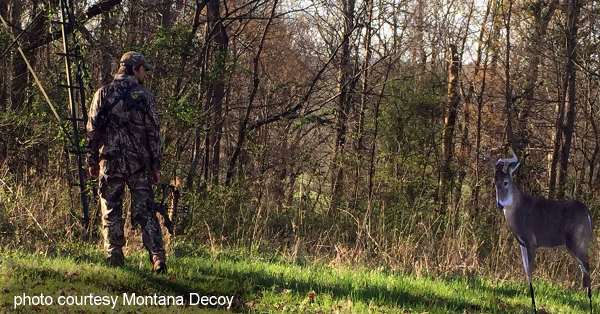 Deer Decoy Strategies for Early Season Hunting | Shoot On