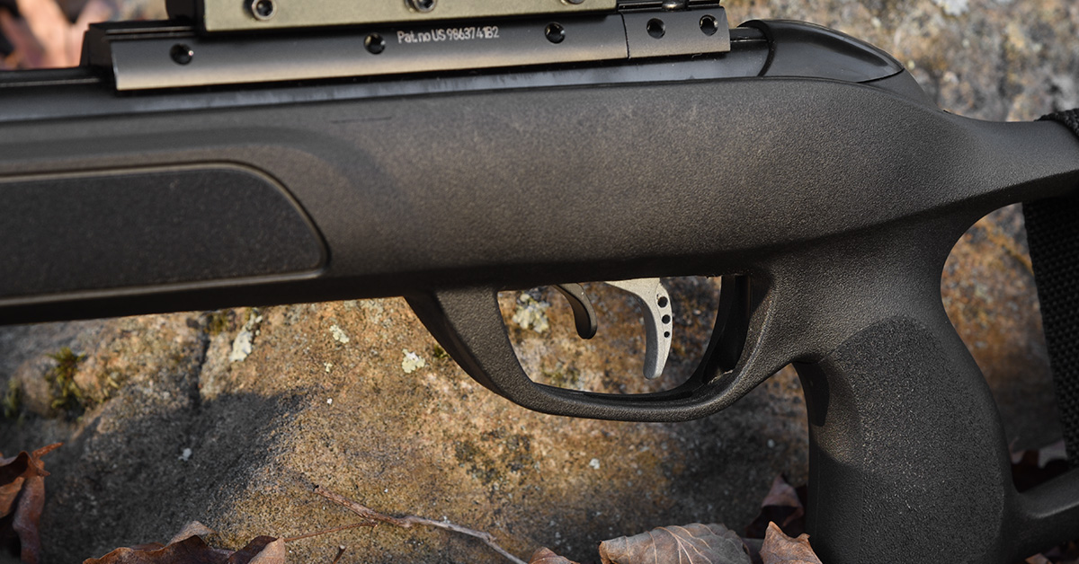 Review: Gamo Swarm Fusion 10X Gen2 Air Rifle | Shoot On