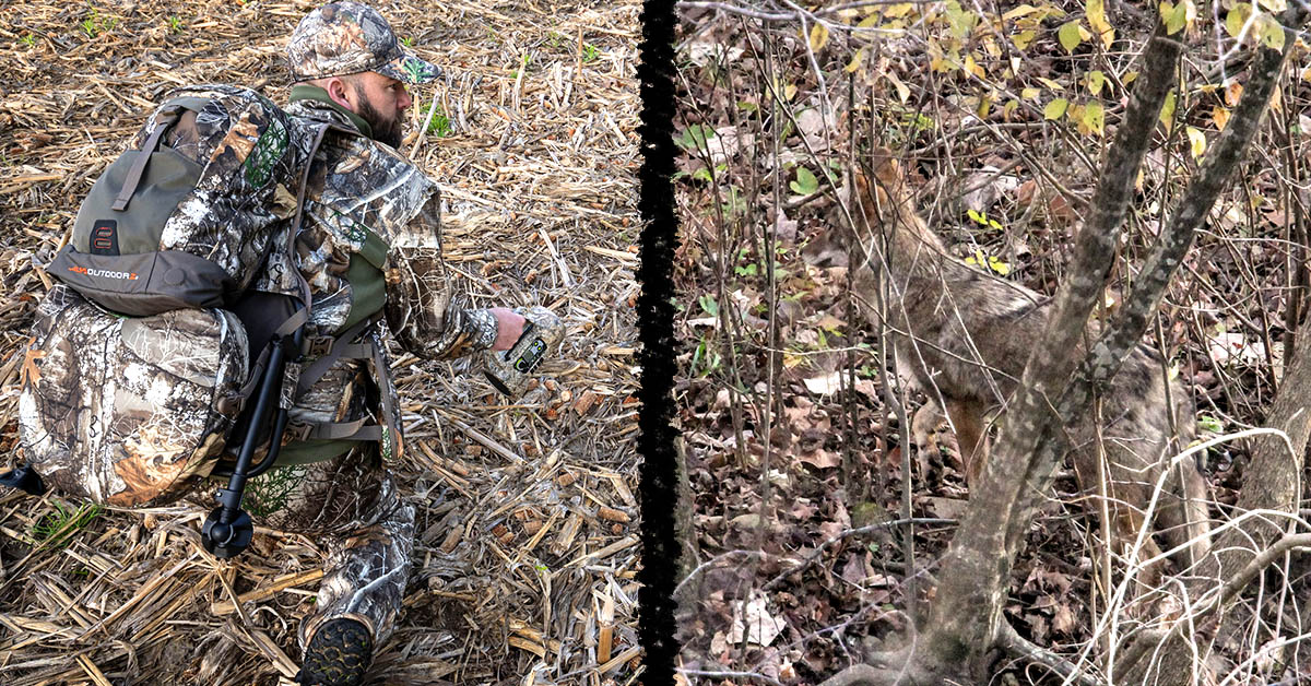 Top Predator Gear for 2020 | Shoot On