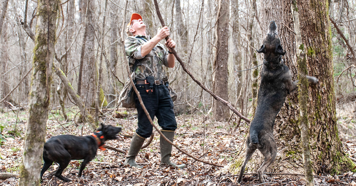 GAMO Event Aims to Save Our Hunting Heritage | Shoot On