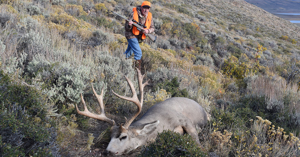 Ruger’s Hawkeye Long-Range Hunter | Shoot On