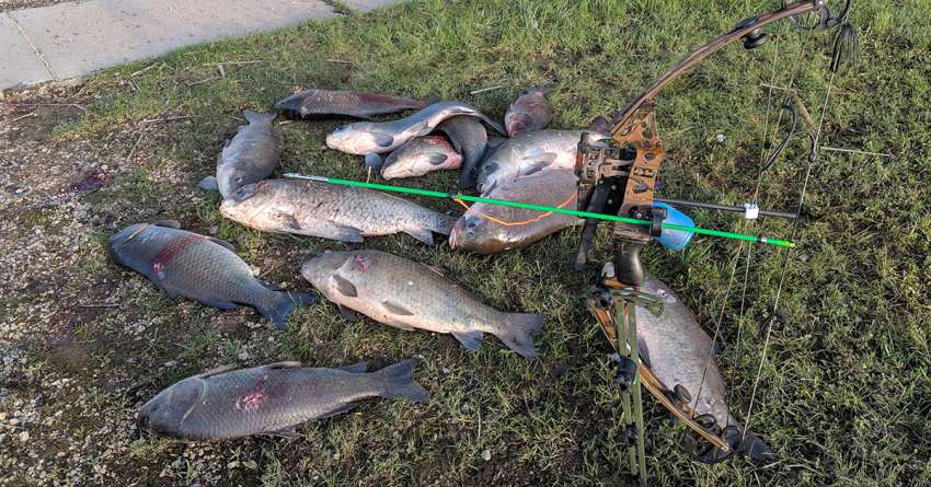 Bowfishing IS the Answer! | Shoot On