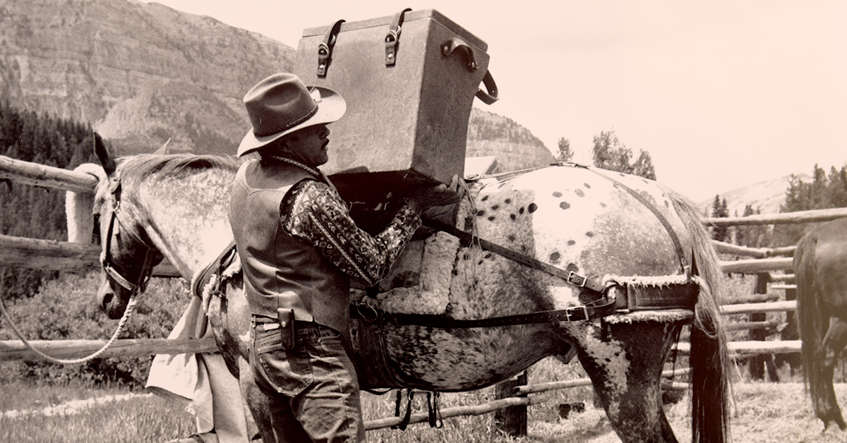 The Elk Hunter of his Dreams | Shoot On