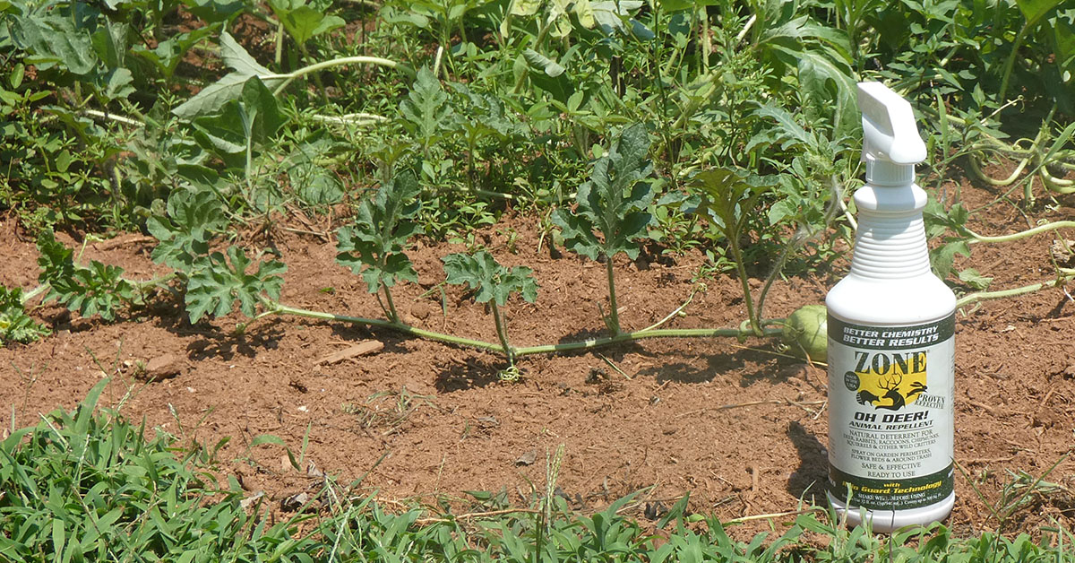 TESTED: Top Bug Repellent for Shooters and Hunters | Shoot On