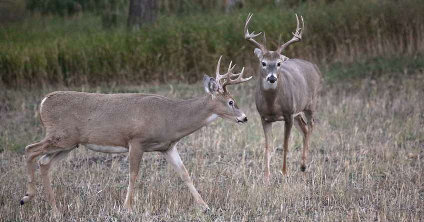 Wyoming Doubleheader | Shoot On