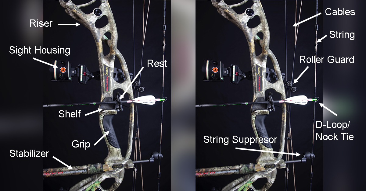 Bowhunting 411: Back to Bow Basics | Shoot On