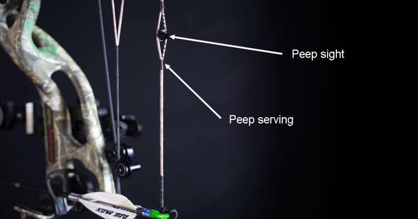 Bowhunting 411: Back to Bow Basics | Shoot On
