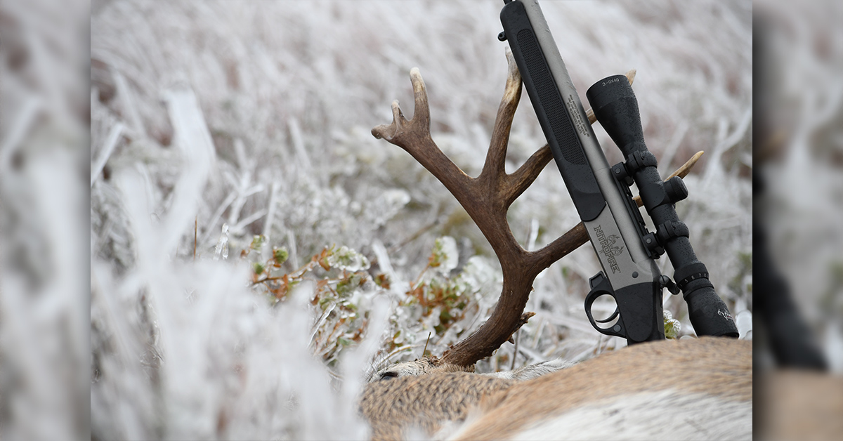 Field Test! Traditions' Revolutionary NitroFire Muzzleloader | Shoot On