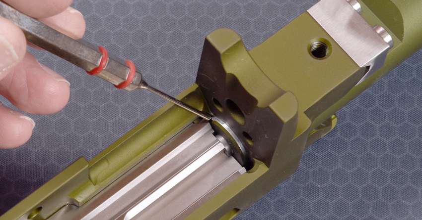 Build a 10/22-Style Rifle YOUR Way | Shoot On