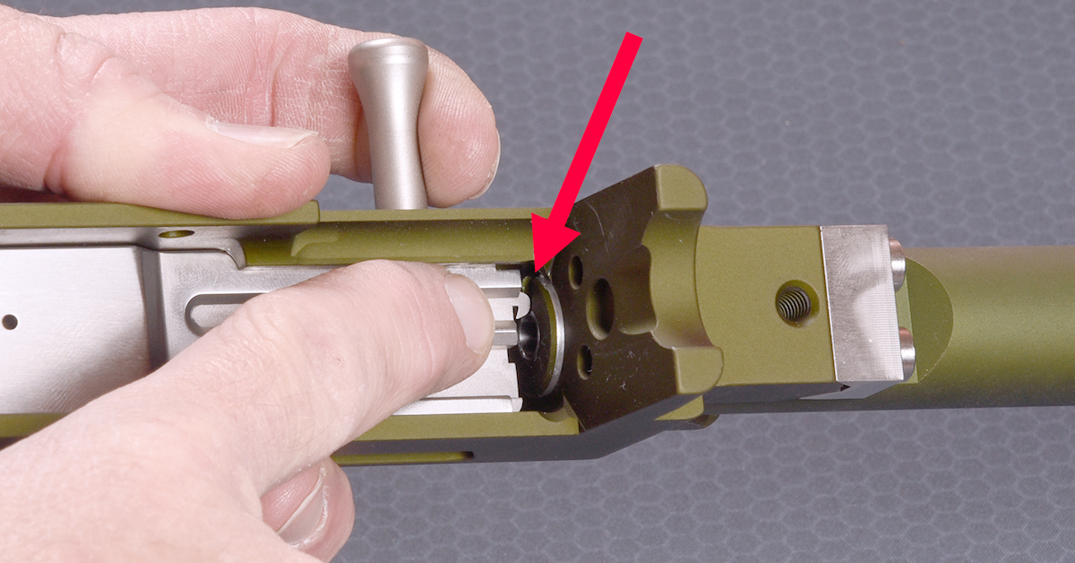 Build a 10/22-Style Rifle YOUR Way | Shoot On