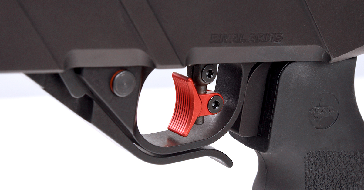 Build a 10/22-Style Rifle YOUR Way | Shoot On