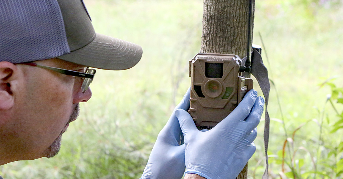 Trail Cams for Game Management | Shoot On