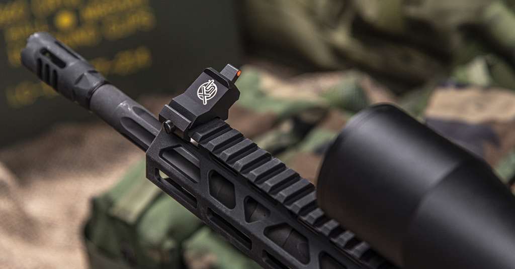 Backup Sights for the Modern Rifleman | Shoot On