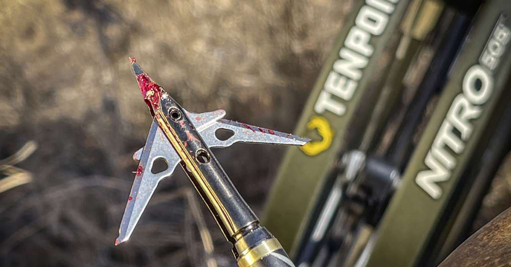 FIRST LOOK! TenPoint Nitro 505 Crossbow | Shoot On