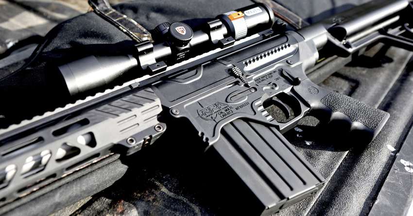 Is THIS the Ultimate Predator Cartridge? | Shoot On