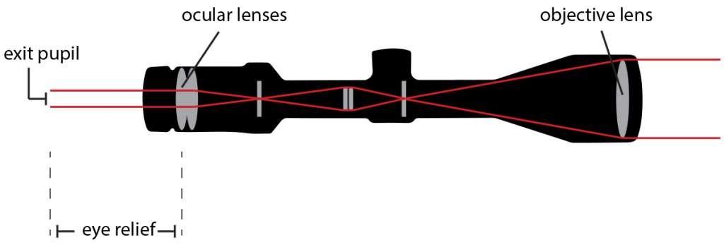 Optics 411: Zeroing in on Rifle Scopes | Shoot On