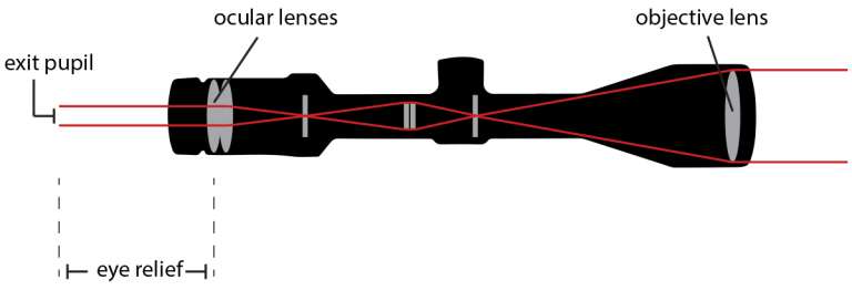 Optics 411: Zeroing in on Rifle Scopes | Shoot On