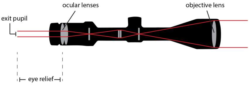 Optics 411: Zeroing in on Rifle Scopes | Shoot On