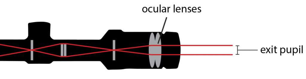 Optics 411: Zeroing in on Rifle Scopes | Shoot On