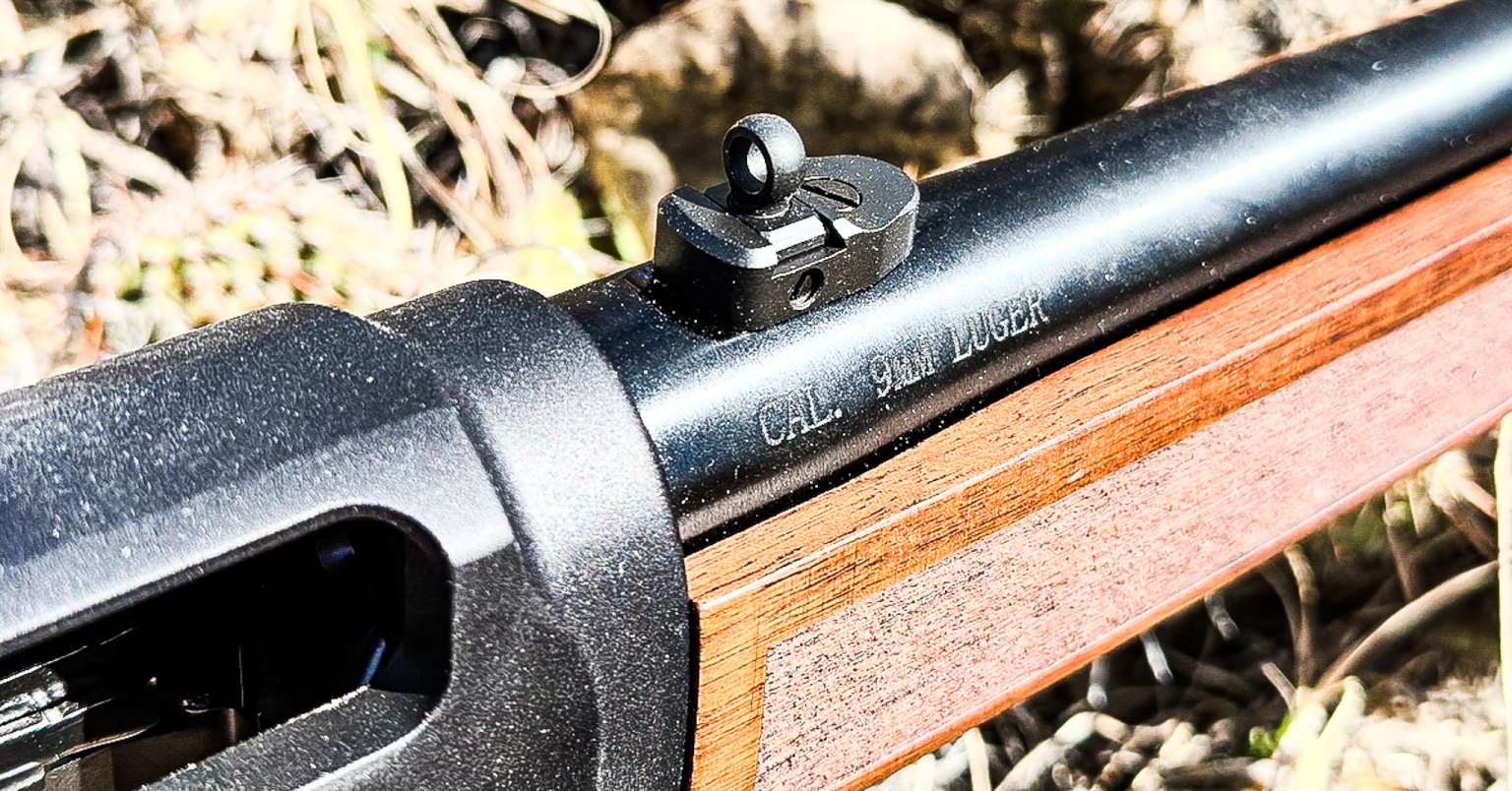 Range Rifle Goes Semi-Auto: Henry Homesteader 9mm Carbine | Shoot On