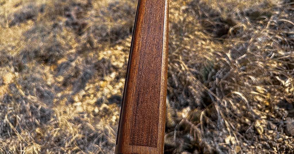 Range Rifle Goes Semi-Auto: Henry Homesteader 9mm Carbine | Shoot On