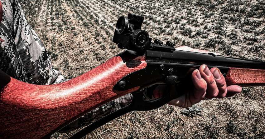 A More Accurate Air Rifle: Daisy's Model 499B Champion Competition Air ...