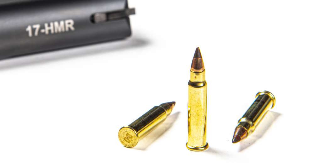 REVIEW: Alexander Arms .17 HMR Standard | Shoot On