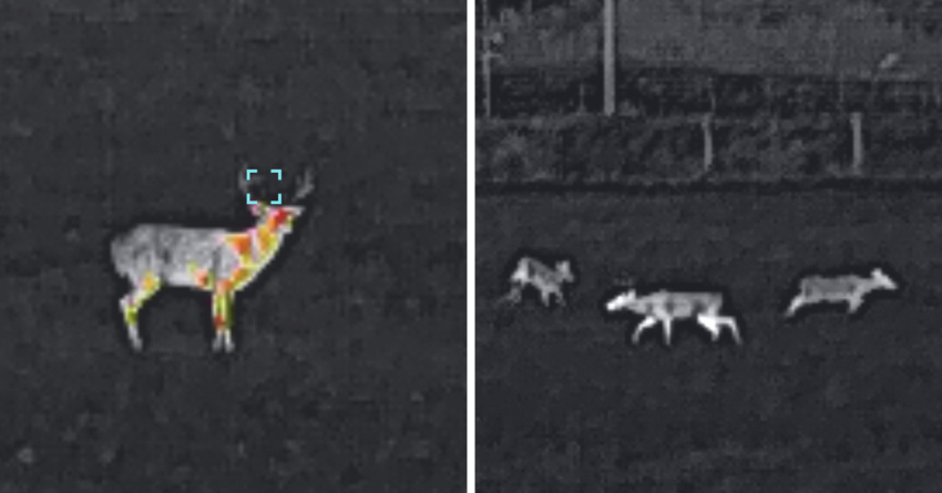 TESTED: InfiRay Finder V2 Thermal Imaging Monocular | Shoot On