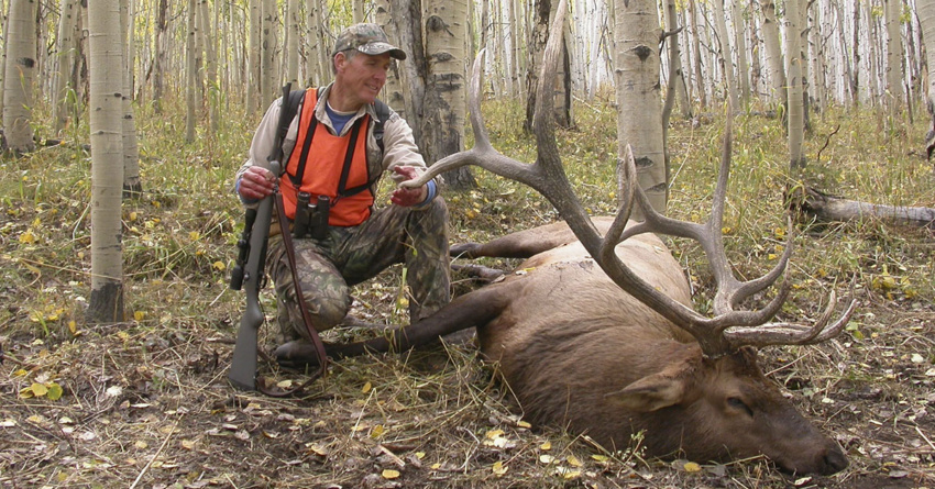 Powering Up: Choices and Caveats | Shoot On