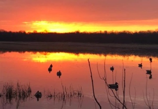 Benelli Migration Madness Sweepstakes | Shoot On