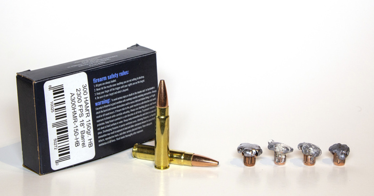 The .300 HAM’R | Shoot On