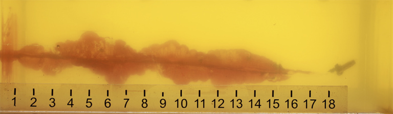 Hornady’s New .338 ARC: The .300 Blackout Killer? | Shoot On