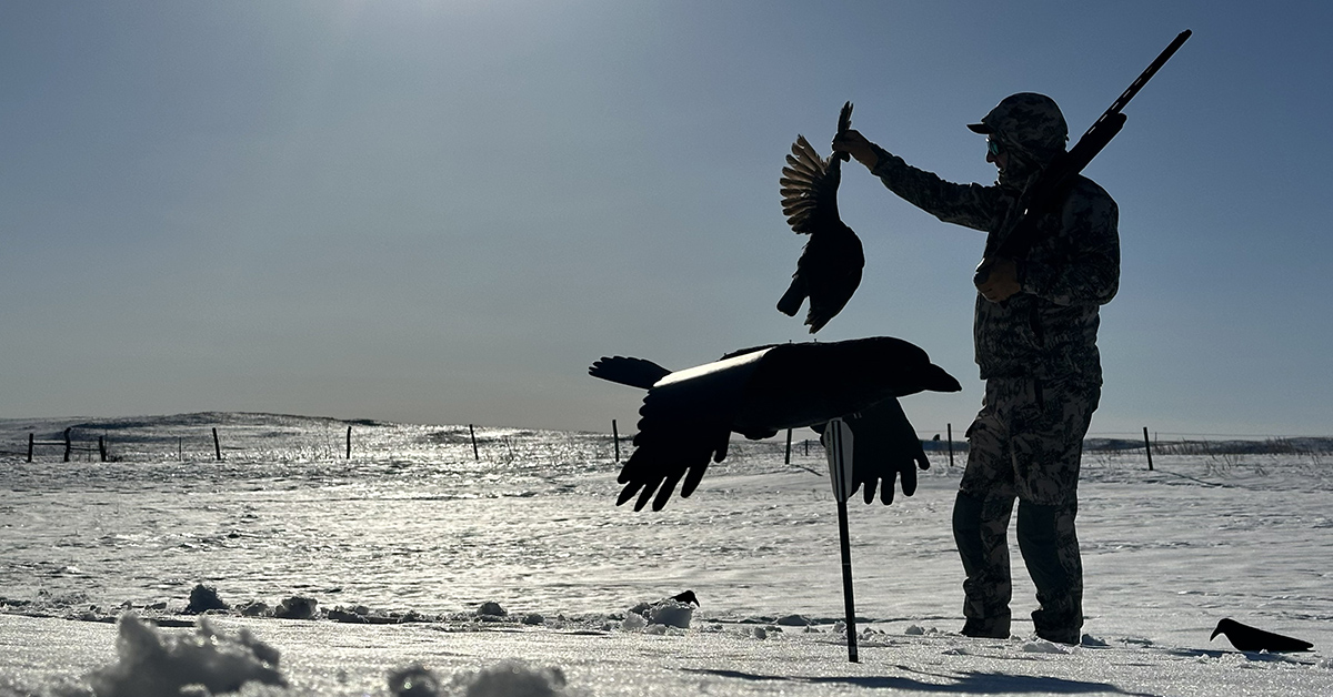 Crow Hunting: Shotgun Practice with a Purpose | Shoot On