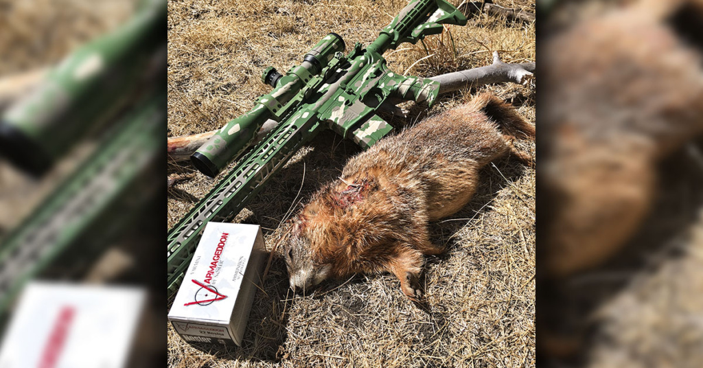 The .22 Nosler: The Ultimate Varmint and Mid-Sized Game Cartridge ...